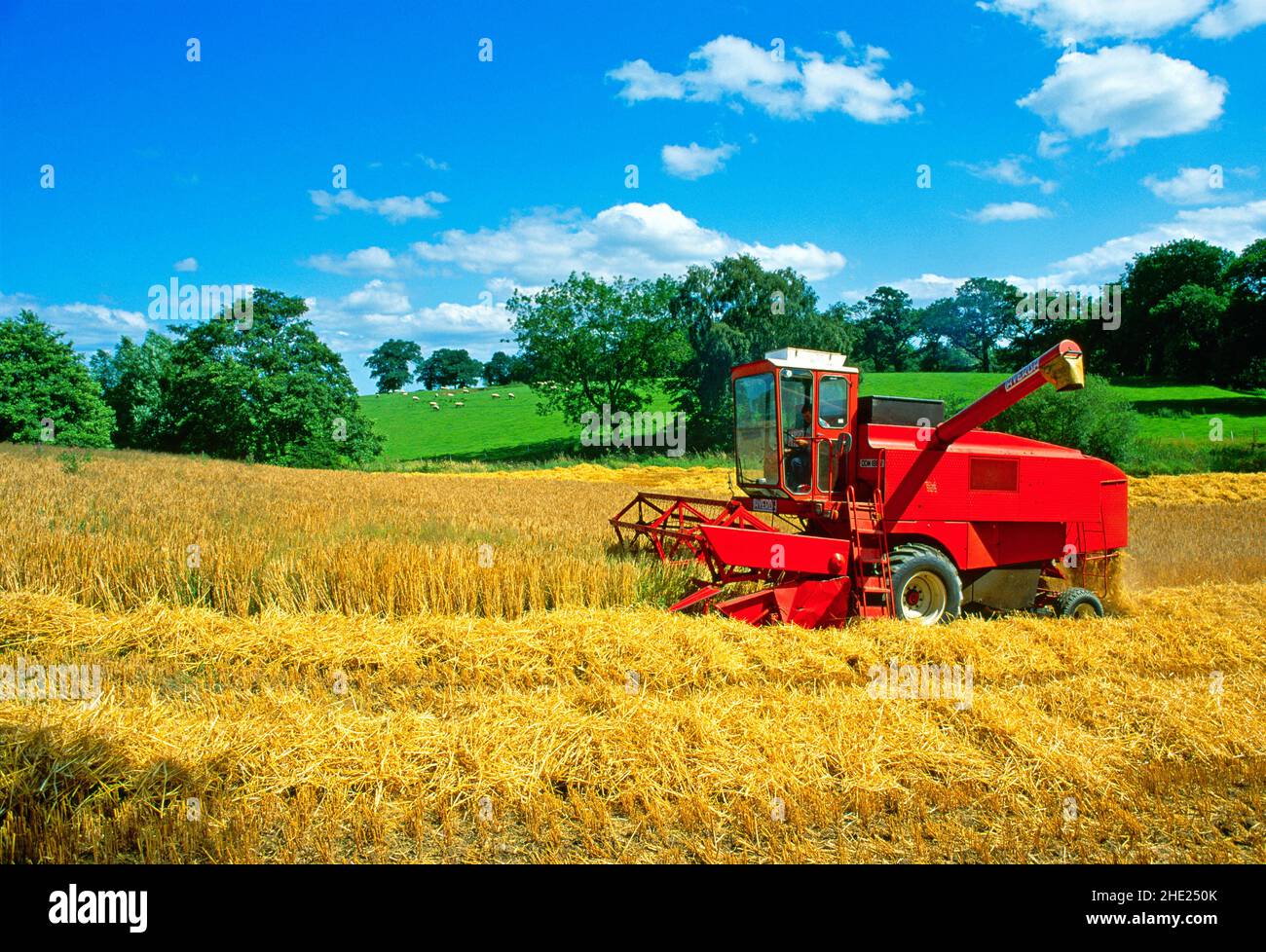 combine harvester, red Stock Photo - Alamy