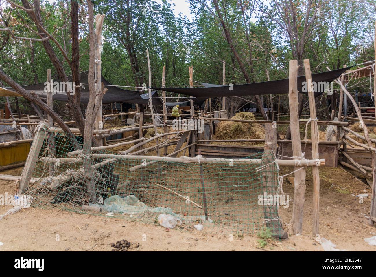 Camel stables near Singing Sands Dune near Dunhuang, Gansu Province ...