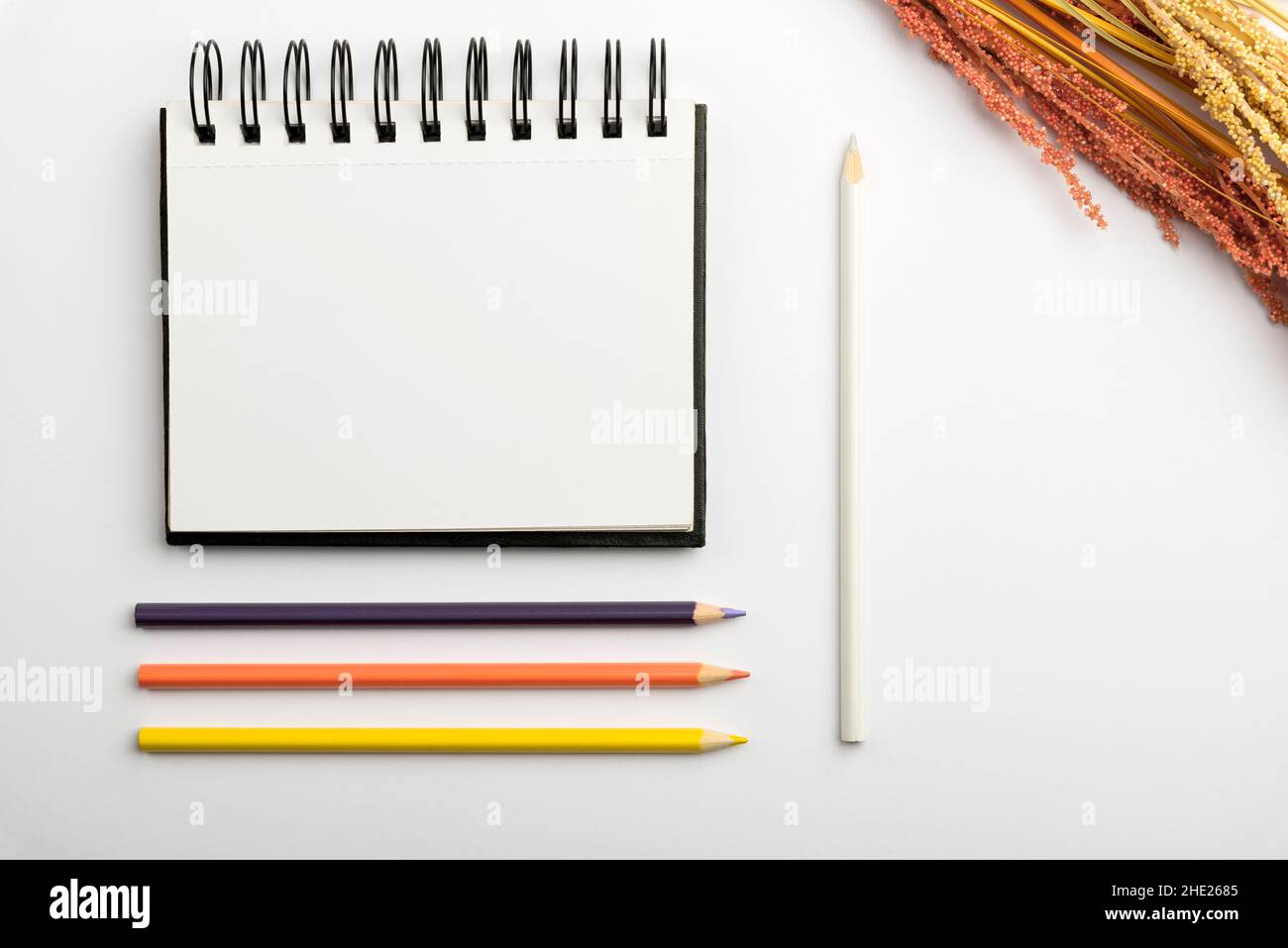 Flashy School Office Supplies, Bright Teaching Learning Collections ...