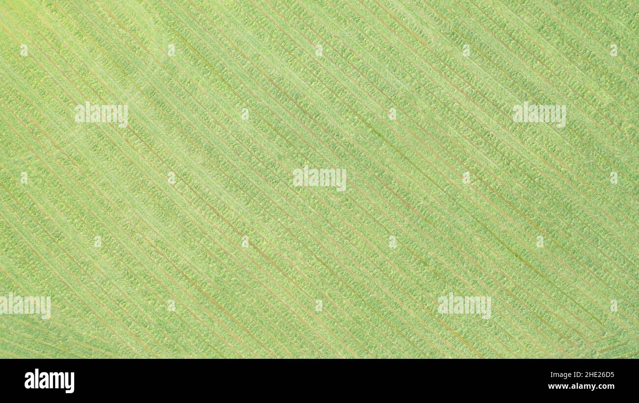 Aerial image of fields, beach and coastal path in Llanon Ceredigion ...