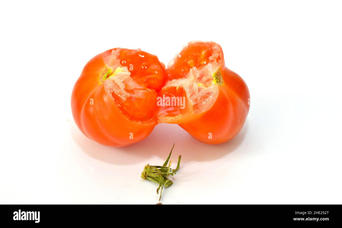 halved tomato on white Stock Photo - Alamy