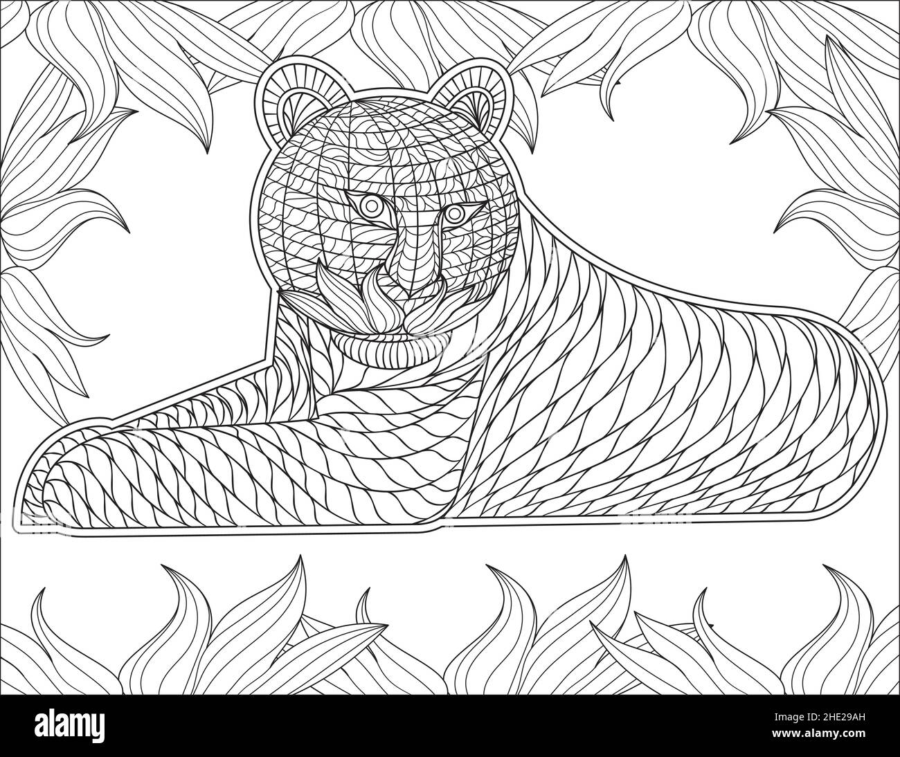 Tiger Line Drawing Surreounded With Flower Frame For Detailed Colouring ...