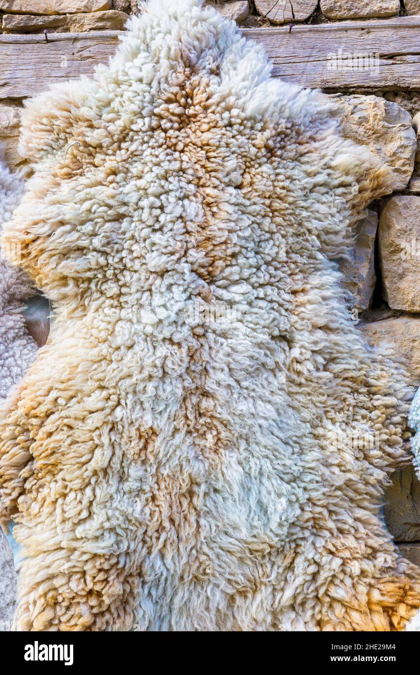 Sheep skins hanging on the wall in the village Stock Photo - Alamy