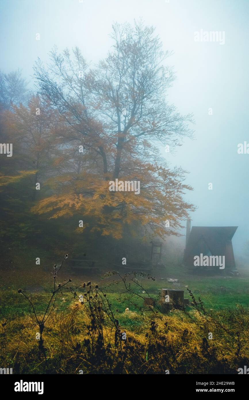Wooden triangle hut in the mountains forest. Autumn colors. Dense mist ...