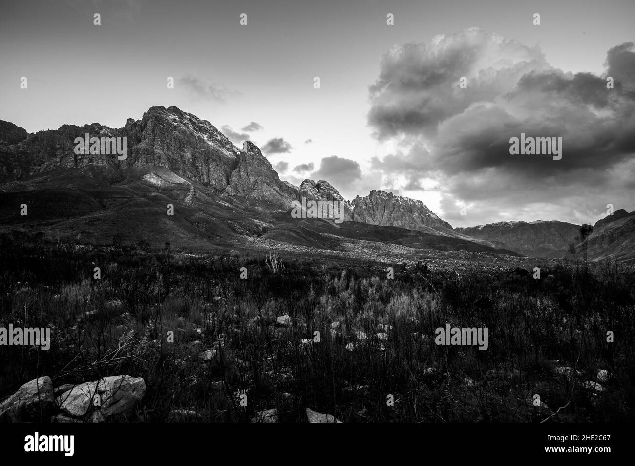 Grayscale shot of high hills over the field with greenery against a ...