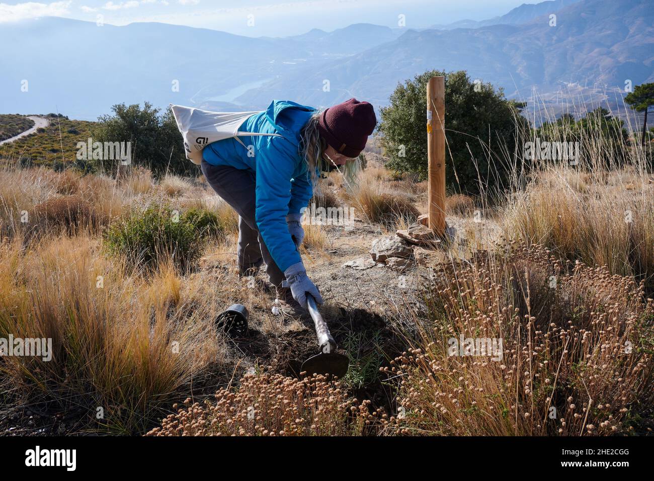 Pretty Caucasian female hiker digging a hole to plant a tree in the ...