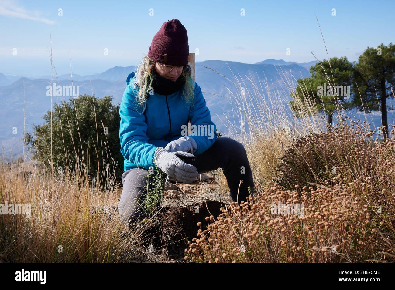 Pretty Caucasian female hiker digging a hole to plant a tree in the ...