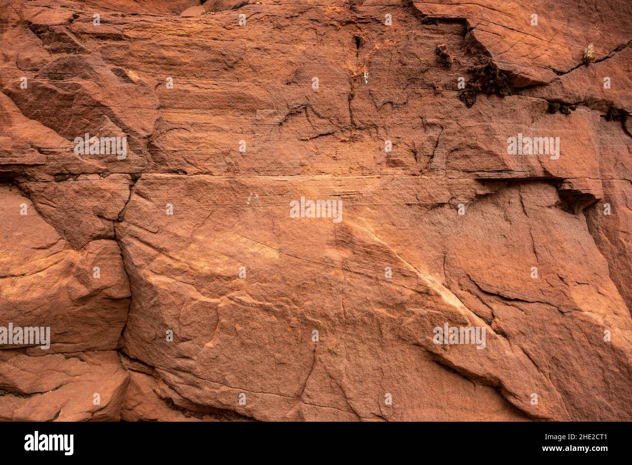Sandstone Rock Wall Texture of cliff wall in Zion Stock Photo - Alamy