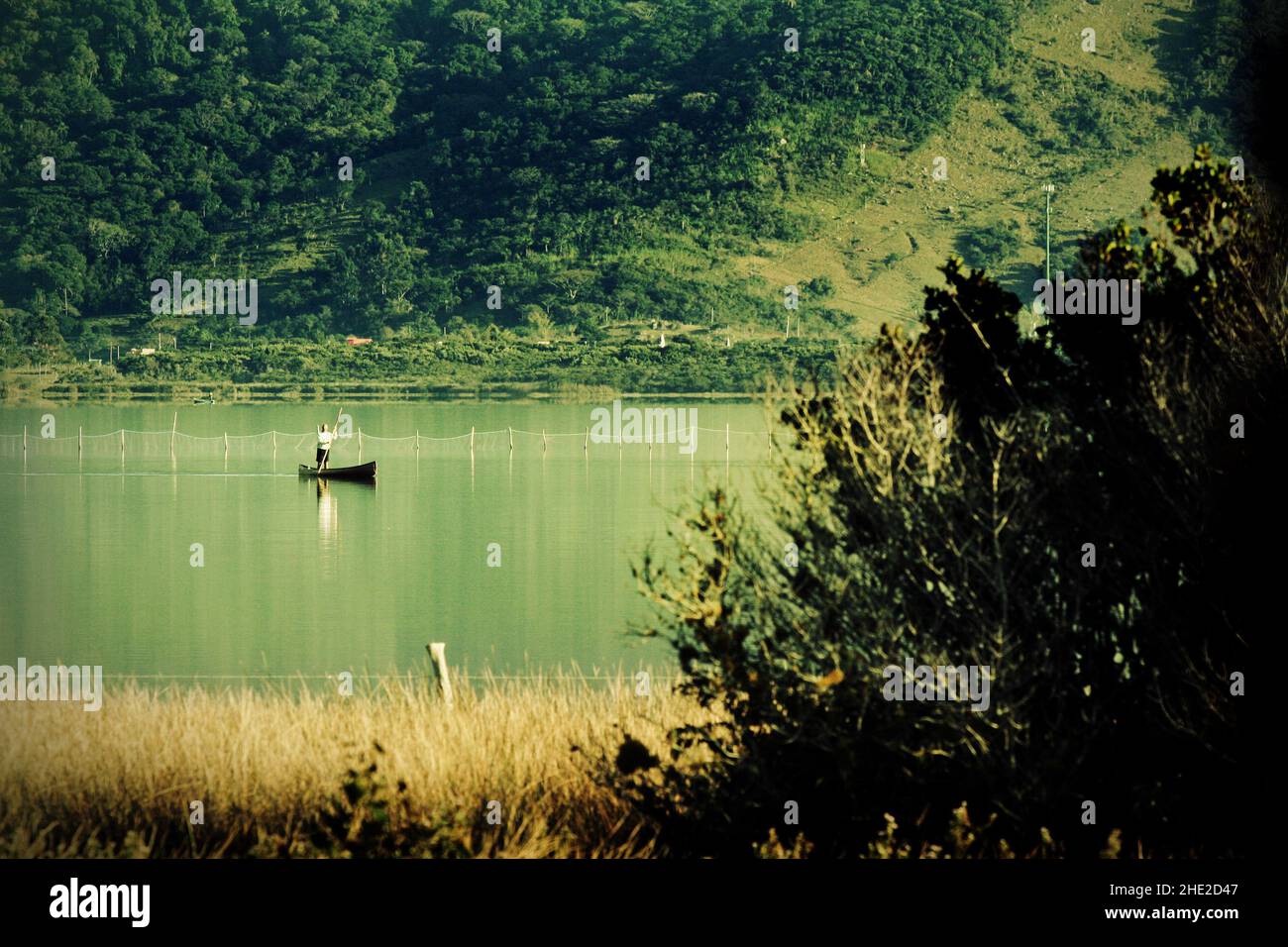 Villager inside a boat rowing in a lake Stock Photo - Alamy