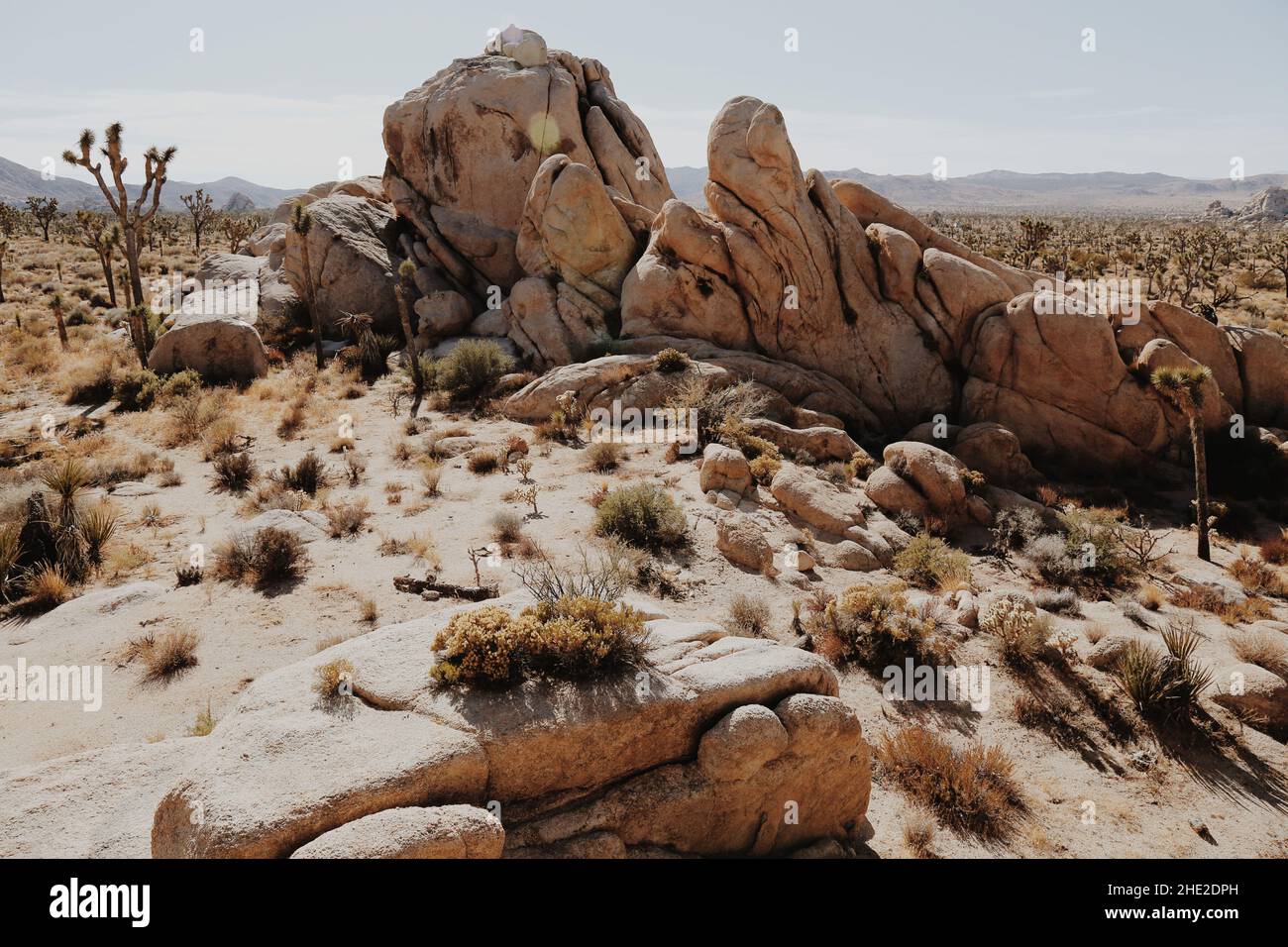 Beautiful stone valley in brown tones captured at daytime Stock Photo ...