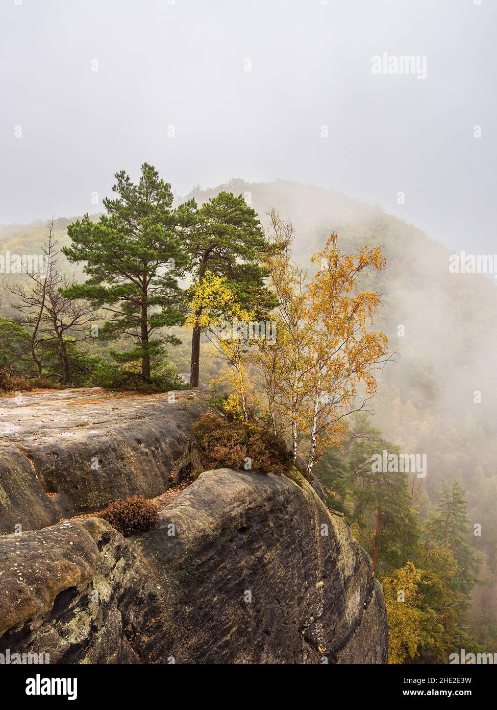 Saxon sandstone mountains hi-res stock photography and images - Alamy
