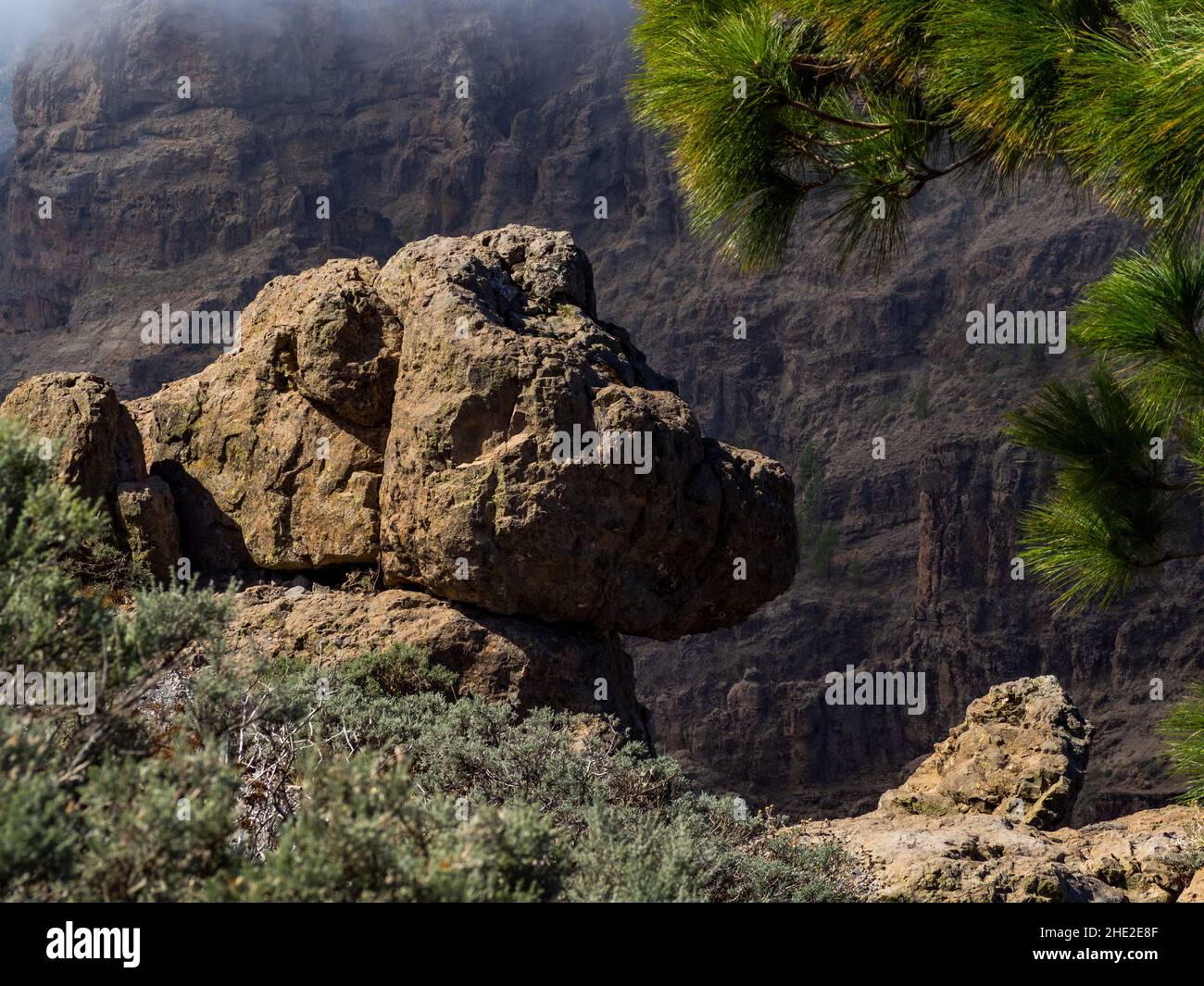 Landscape view of a sunny boulder on high cliff next to a green tree ...