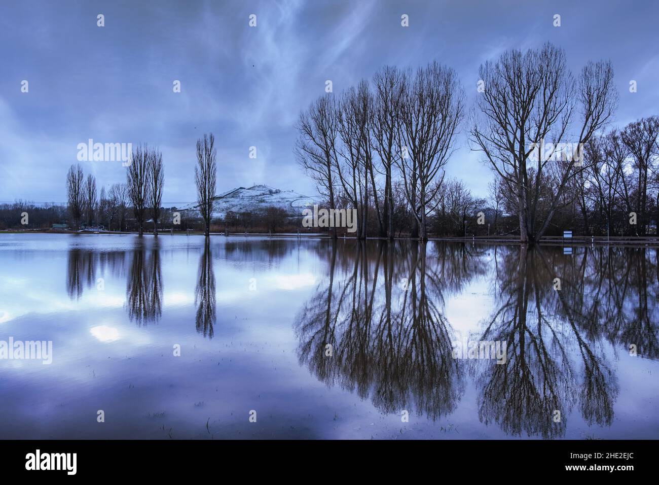 Mesmerizing scene of leafless trees reflecting on a magic gray pond ...