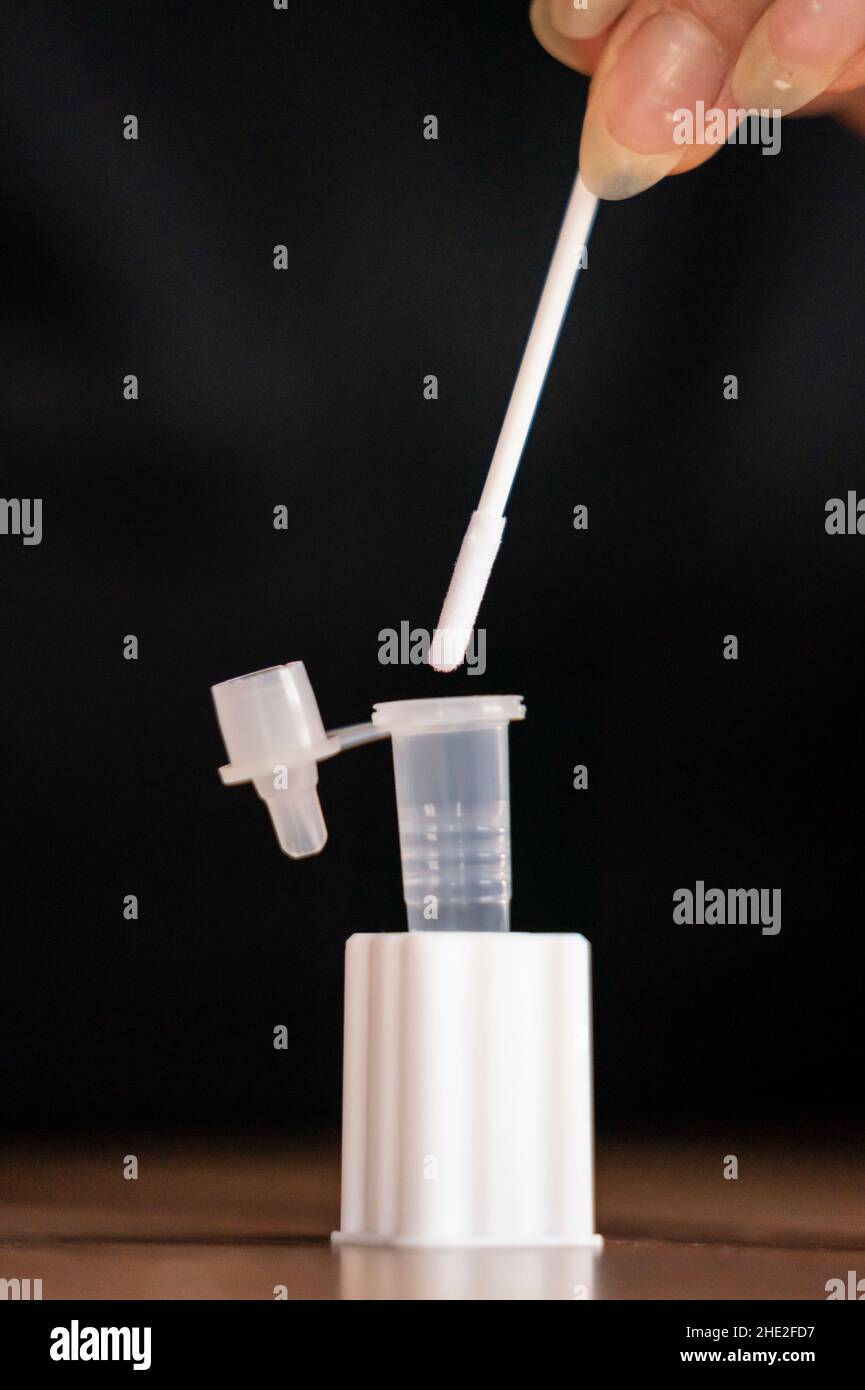 PICTURE POSED BY MODEL A person placing a swab from a Covid 19 lateral ...