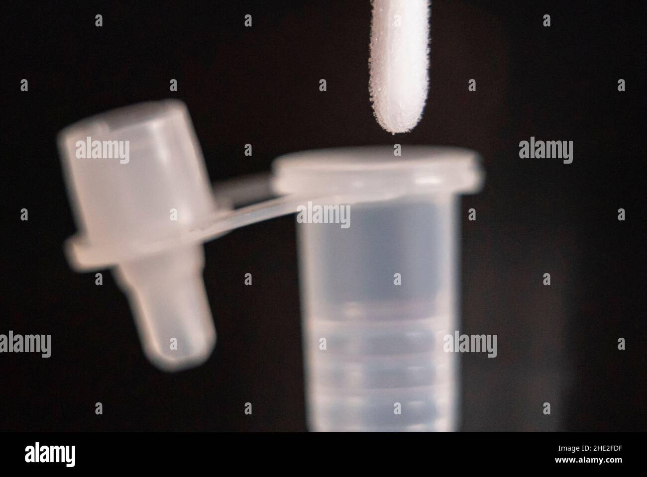 PICTURE POSED BY MODEL A person placing a swab from a Covid 19 lateral ...