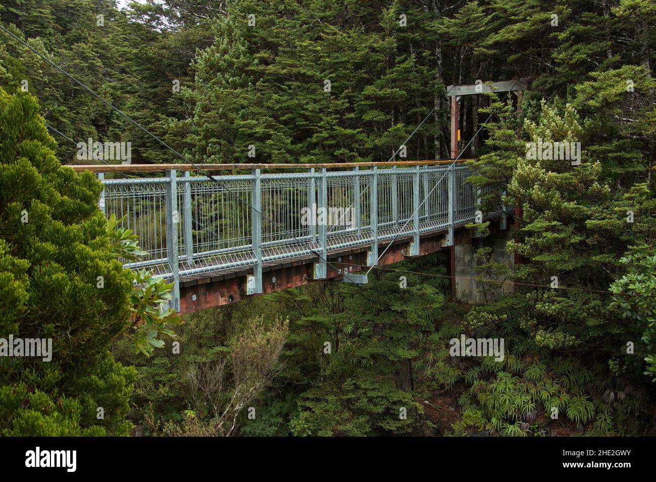 Waitonga falls walk hi-res stock photography and images - Alamy