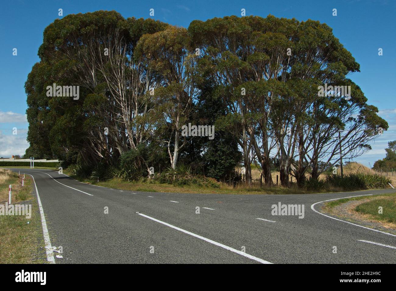 Rapanui road hi-res stock photography and images - Alamy