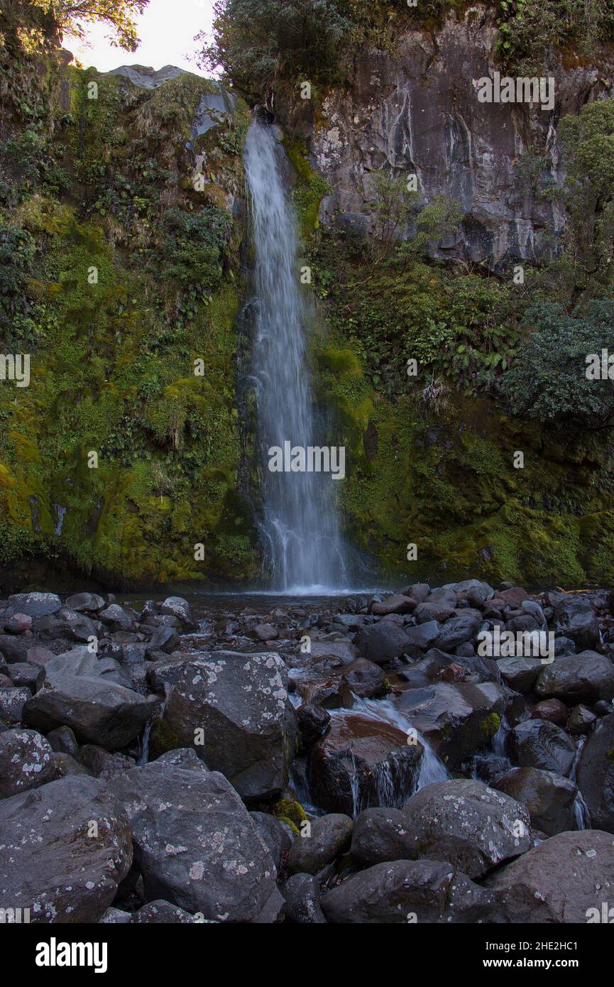 Dawson Falls in Egmont National Park,Taranaki region on North Island of ...