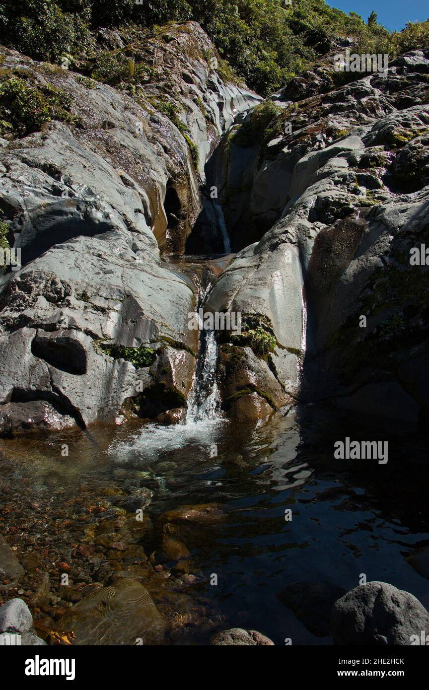Wilkies Pools in Egmont National Park,Taranaki region on North Island ...
