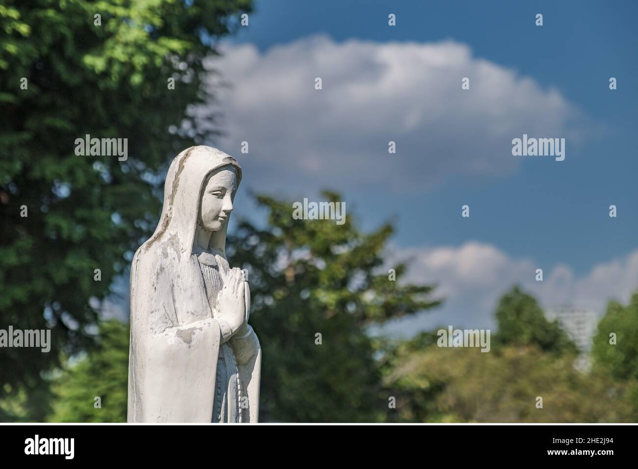 Praying for a miracle Stock Photo - Alamy