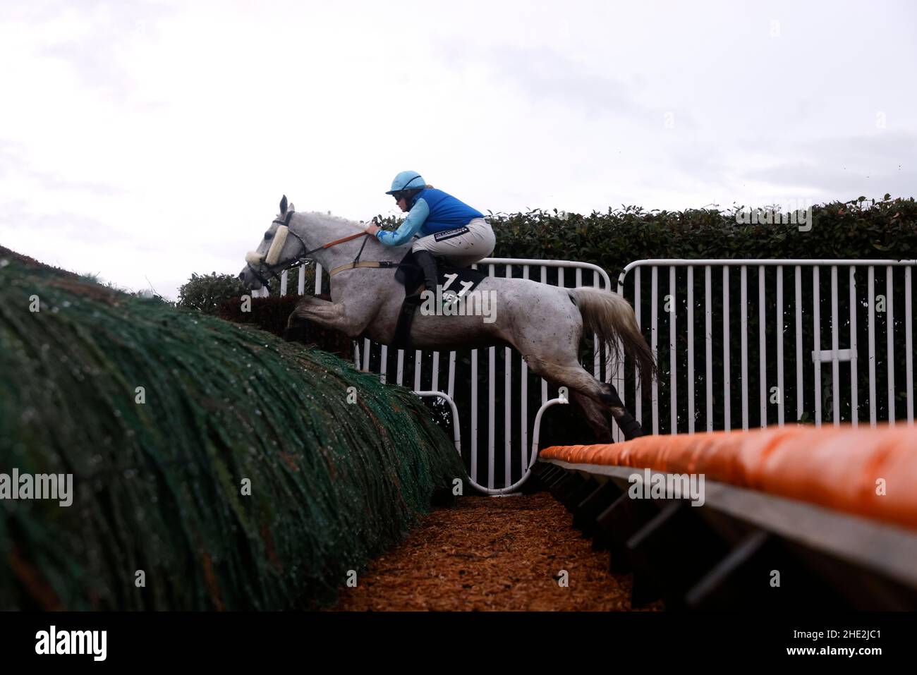 Lilly pinchin hi-res stock photography and images - Alamy