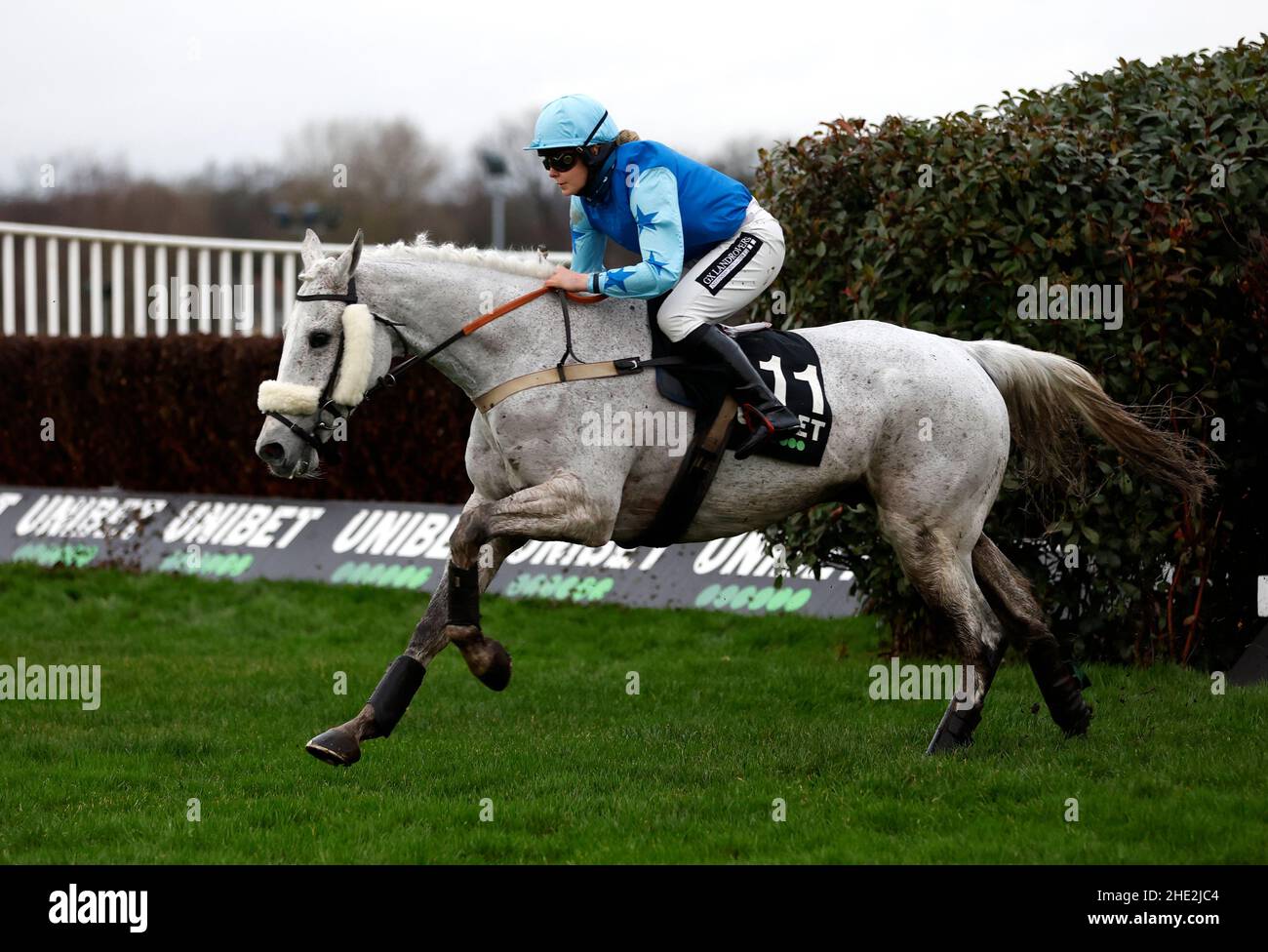 Lilly pinchin hi-res stock photography and images - Alamy