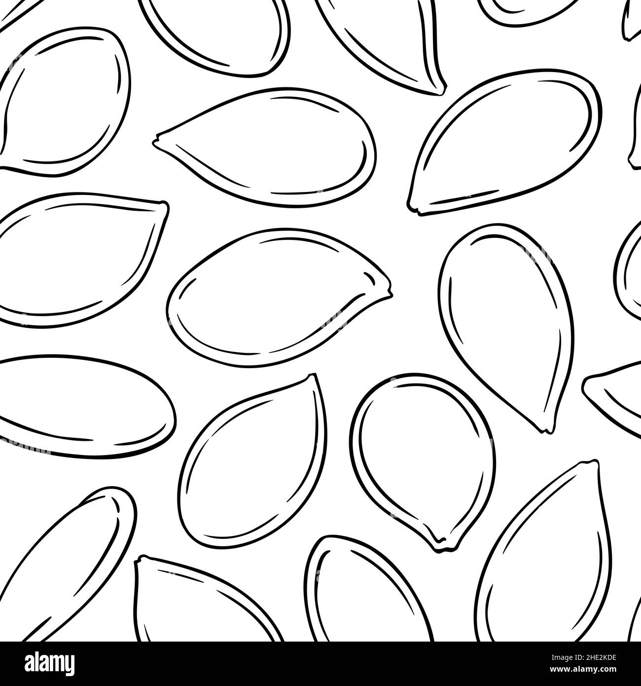 pumpkin seeds vector pattern on white background Stock Vector Image ...