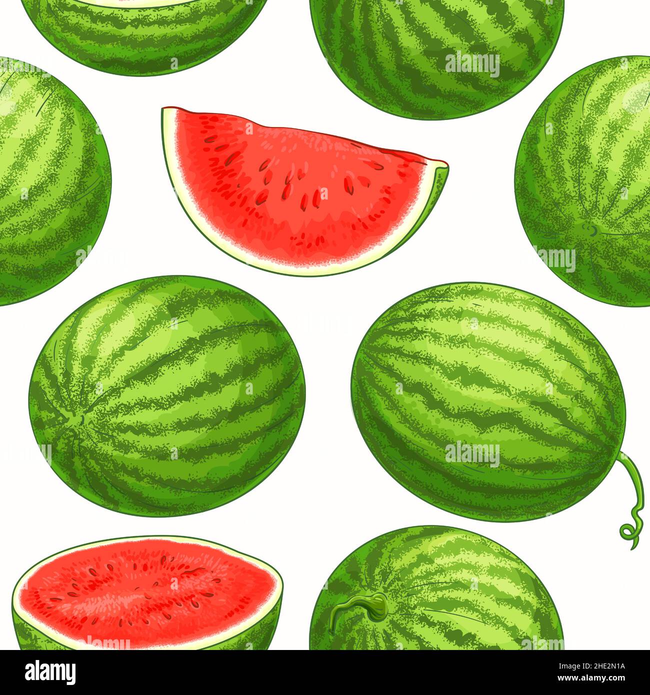 watermelon plant vector pattern Stock Vector Image & Art - Alamy
