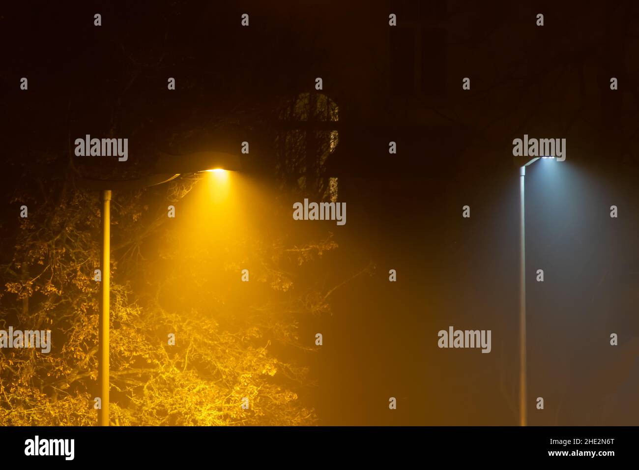 Orange and white streetlights on a foggy night Stock Photo - Alamy
