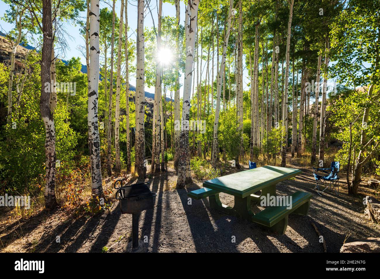 Empty picnic table and backlit Aspen Trees in early autumn; Water ...