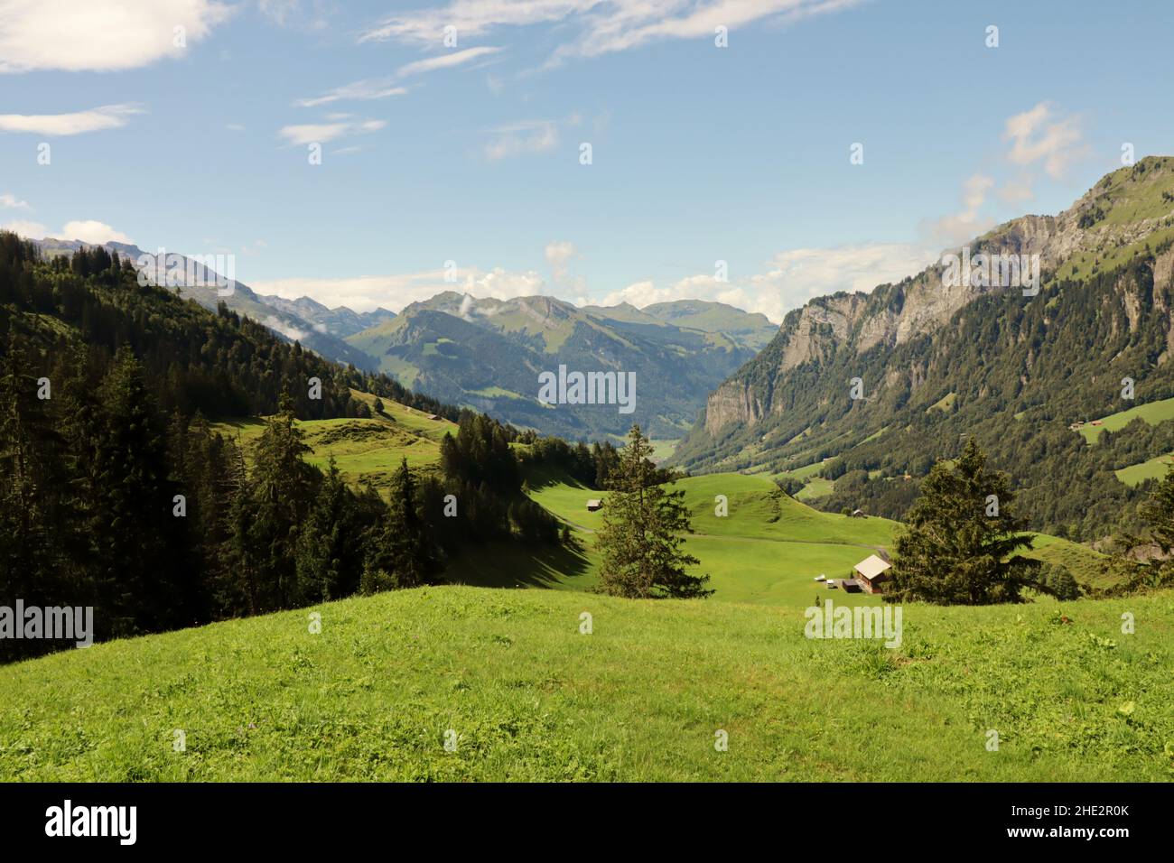 Mountain landscape with alpine meadows in Switzerland in summer Stock ...
