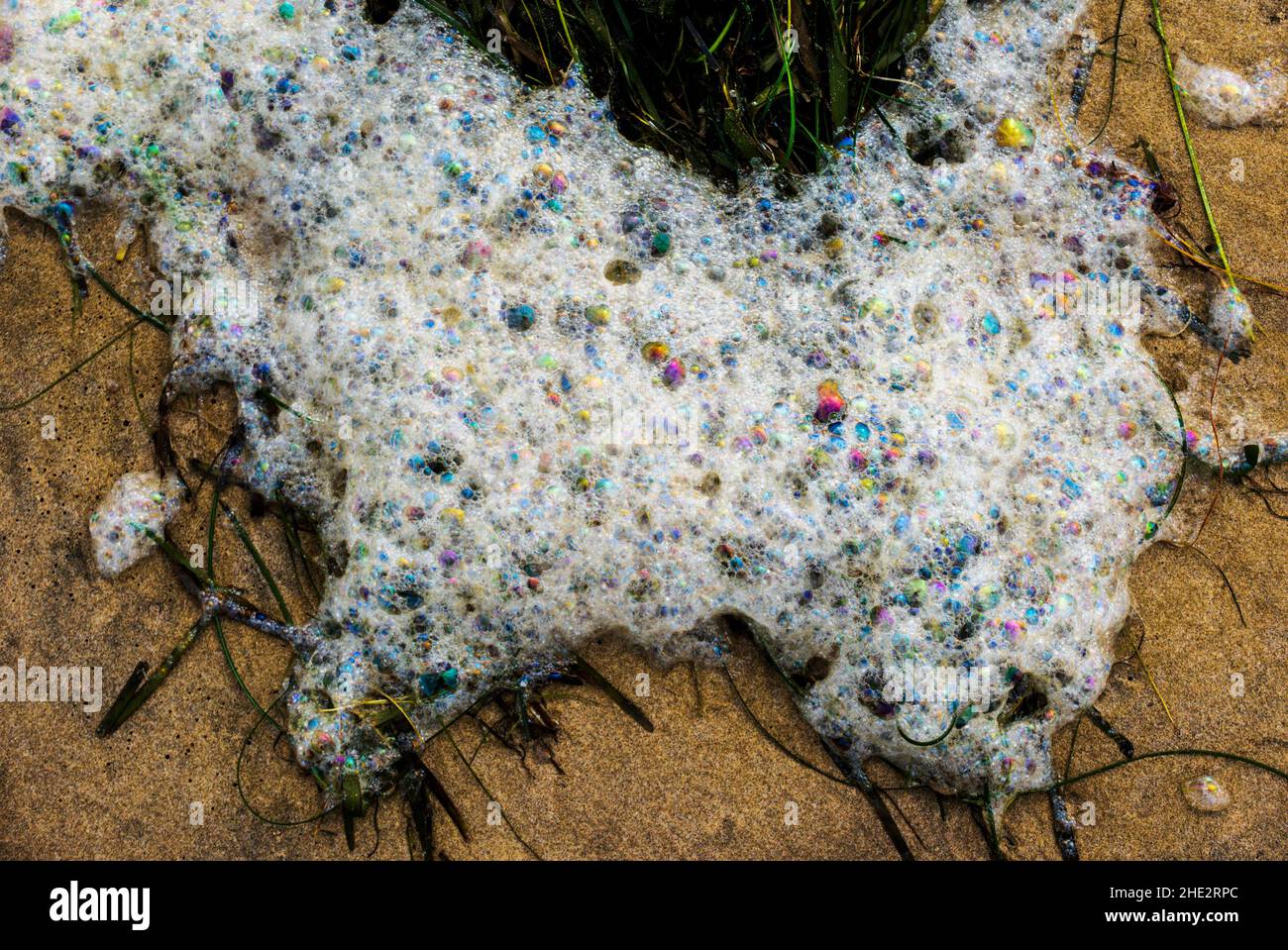 Colorful bubbles in sea foam; Fort Stevens State Park; Hammond; Oregon ...
