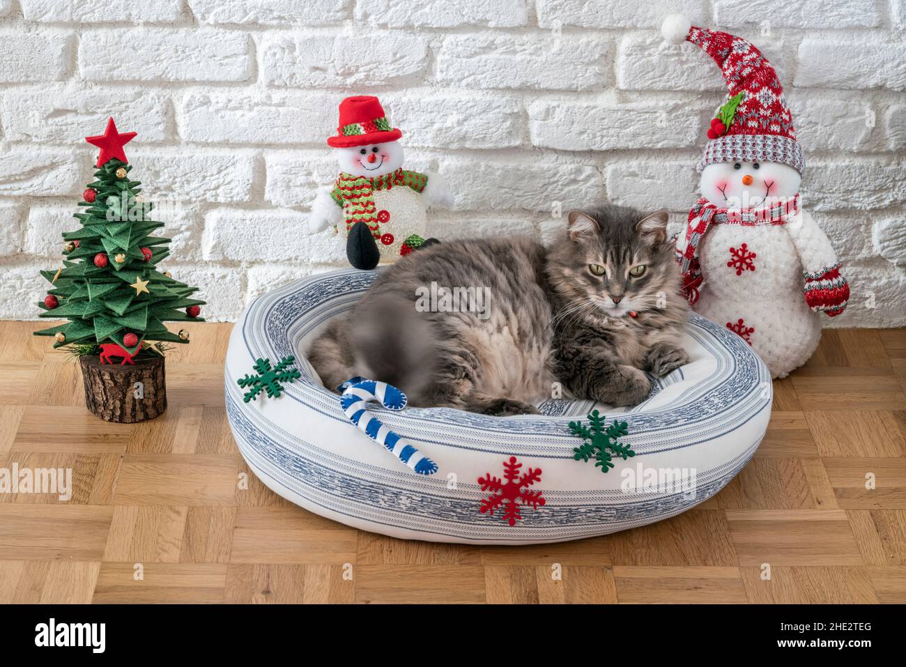 Happy mew hi-res stock photography and images - Alamy