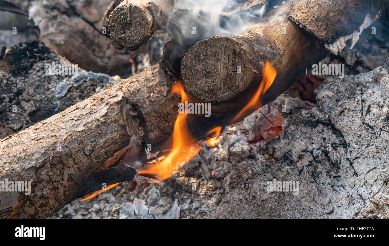 campfire, closeup burning firewood on fire in camping. wood burning in ...