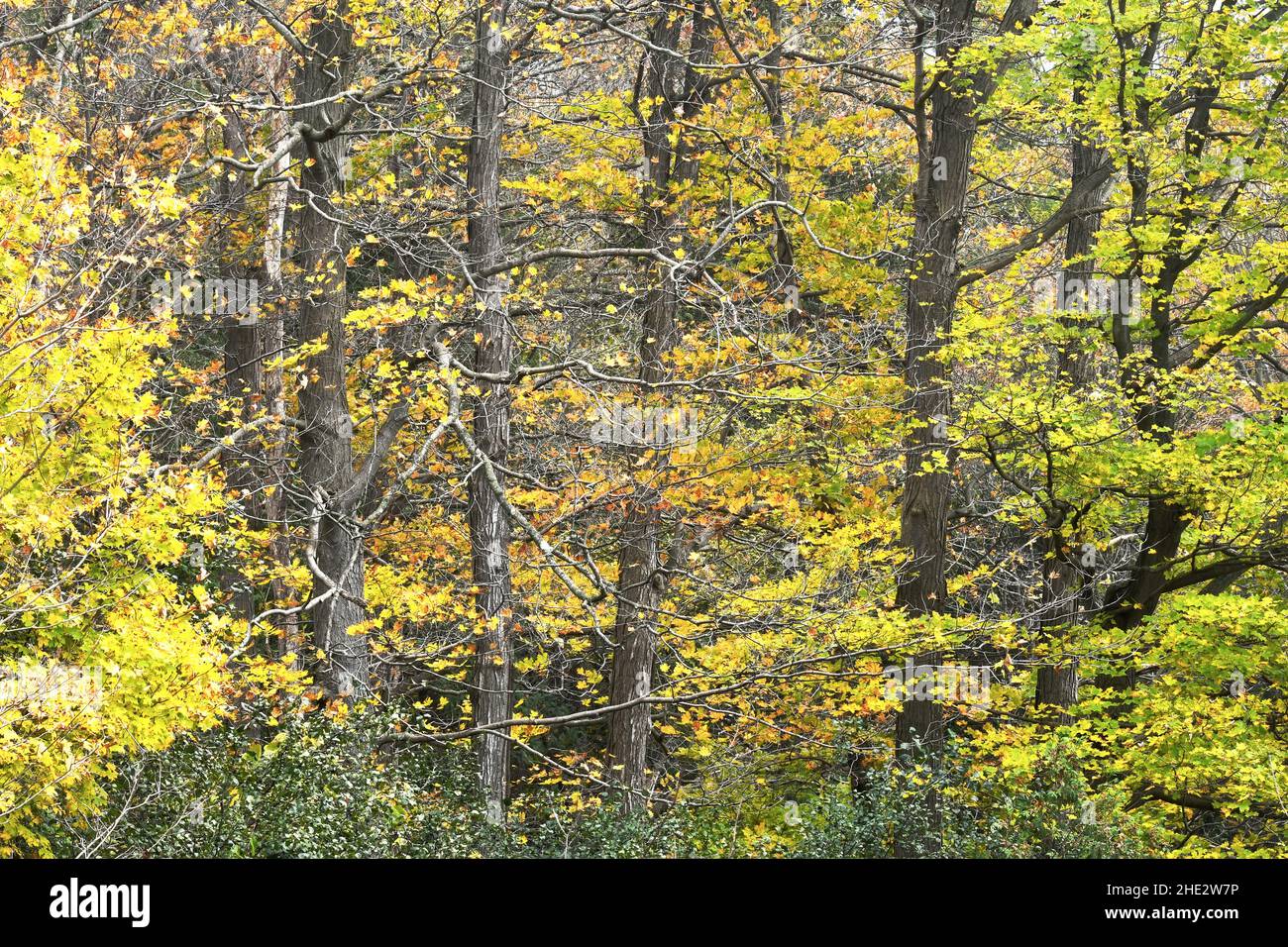 Killarney provincial park canada hi-res stock photography and images ...