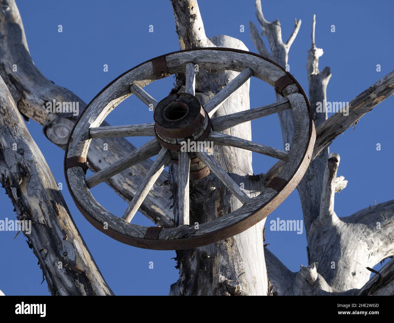 wagon wheel on a dead tree detail Stock Photo - Alamy