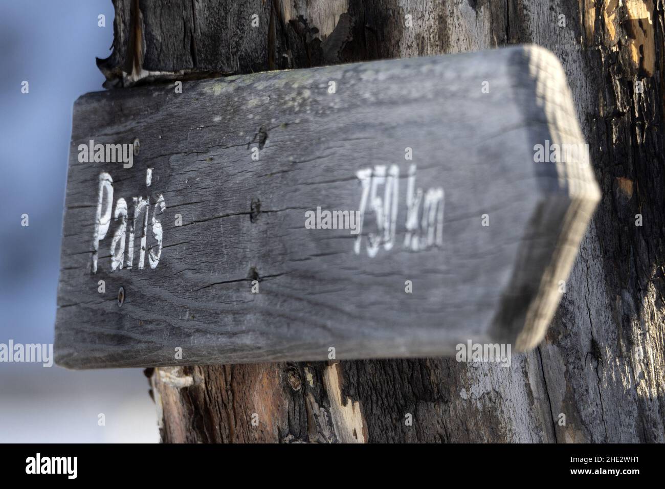 Paris distance wood sign on dead tree detail Stock Photo - Alamy
