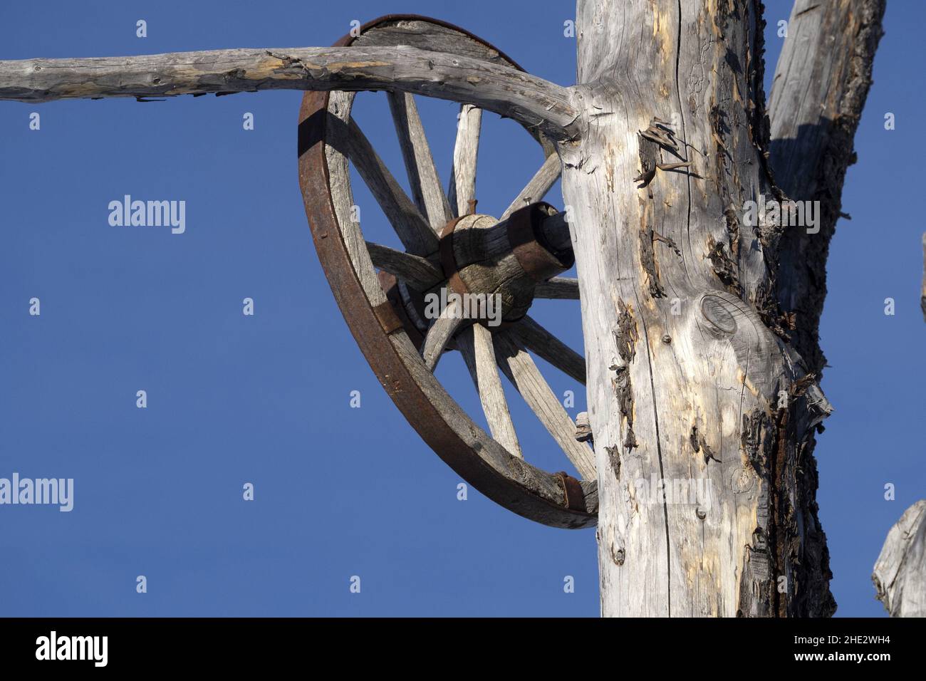 wagon wheel on a dead tree detail Stock Photo - Alamy