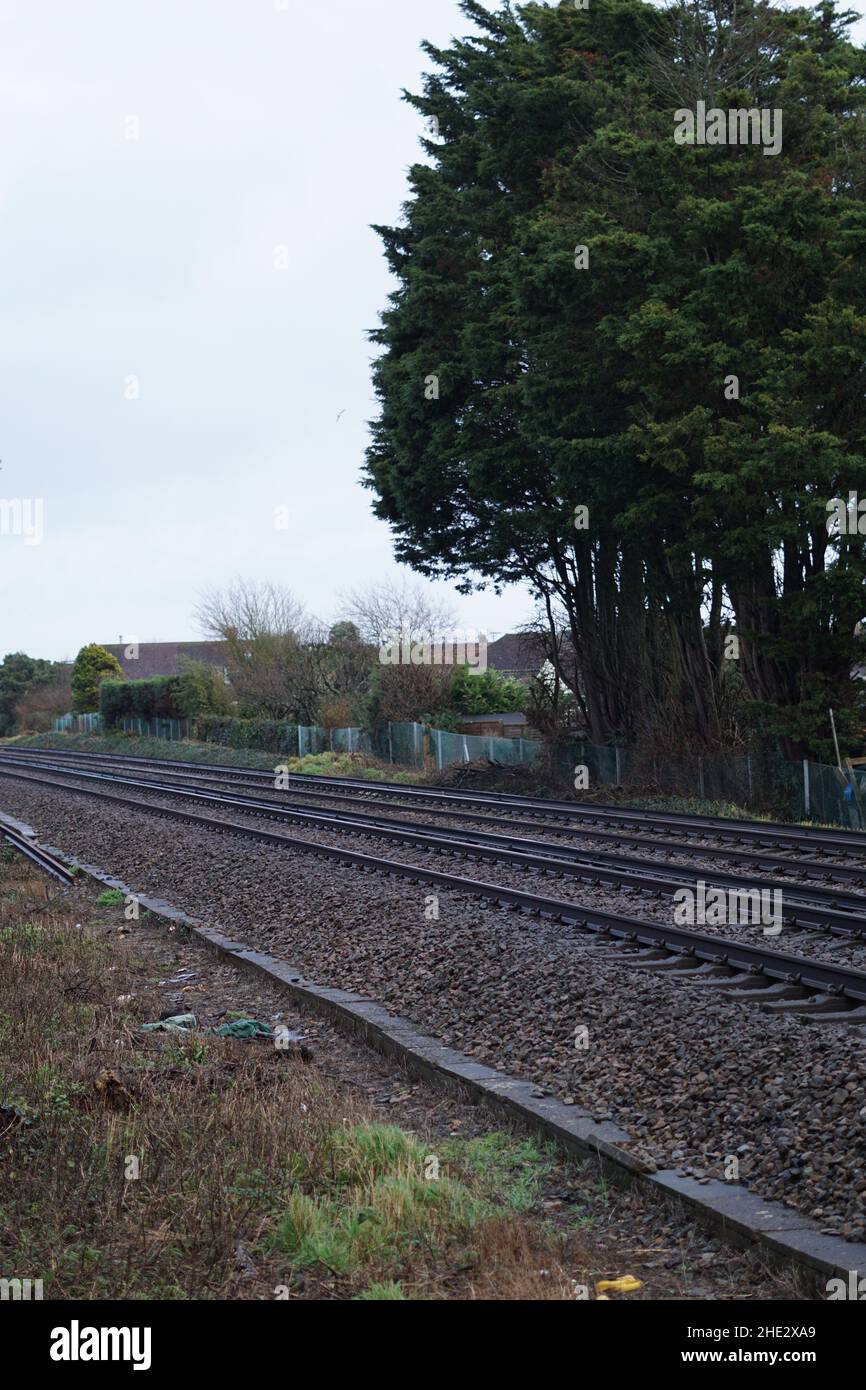 Rail way track trees hi-res stock photography and images - Alamy