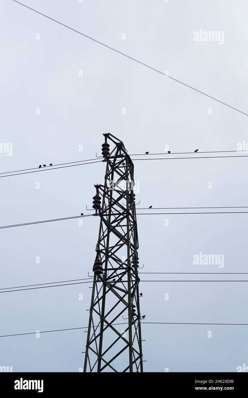 Pylons and cables hi-res stock photography and images - Alamy