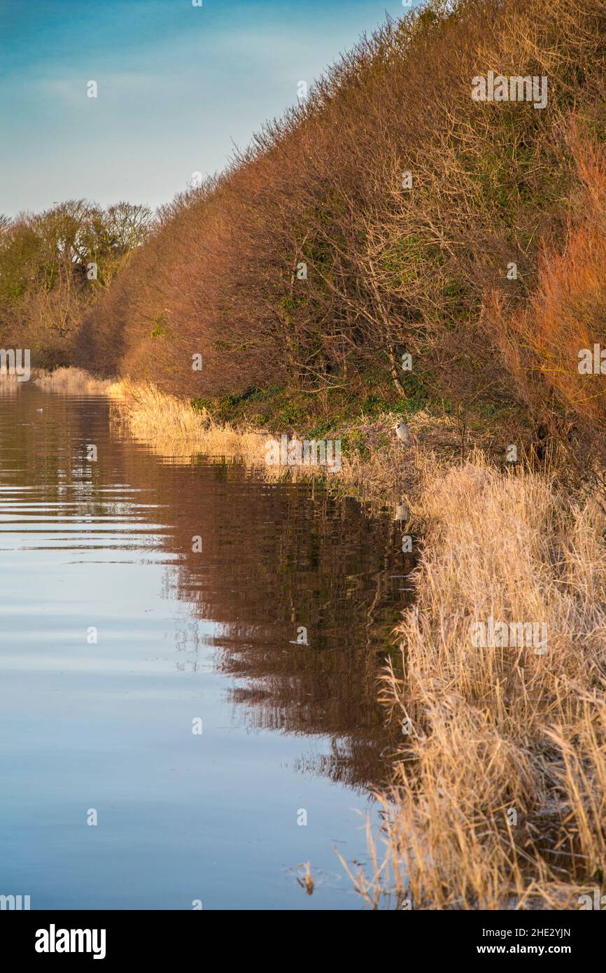 banff bridge aberdeenshire scotland Stock Photo - Alamy