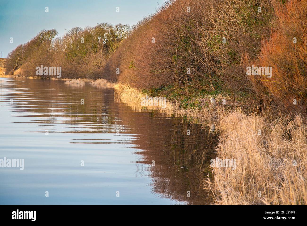 banff bridge aberdeenshire scotland Stock Photo - Alamy