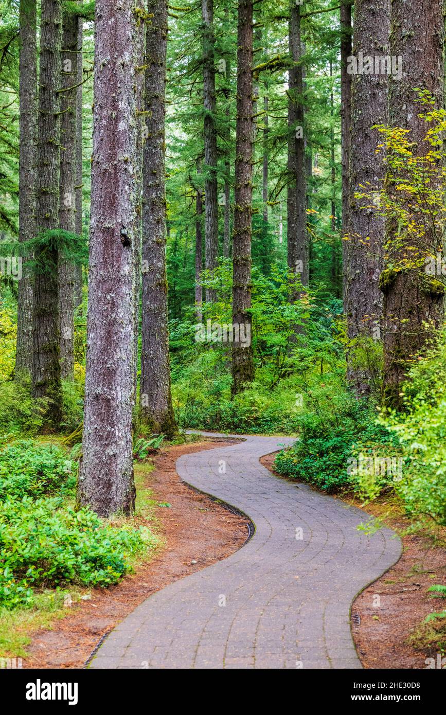 Silver falls state park hi-res stock photography and images - Alamy