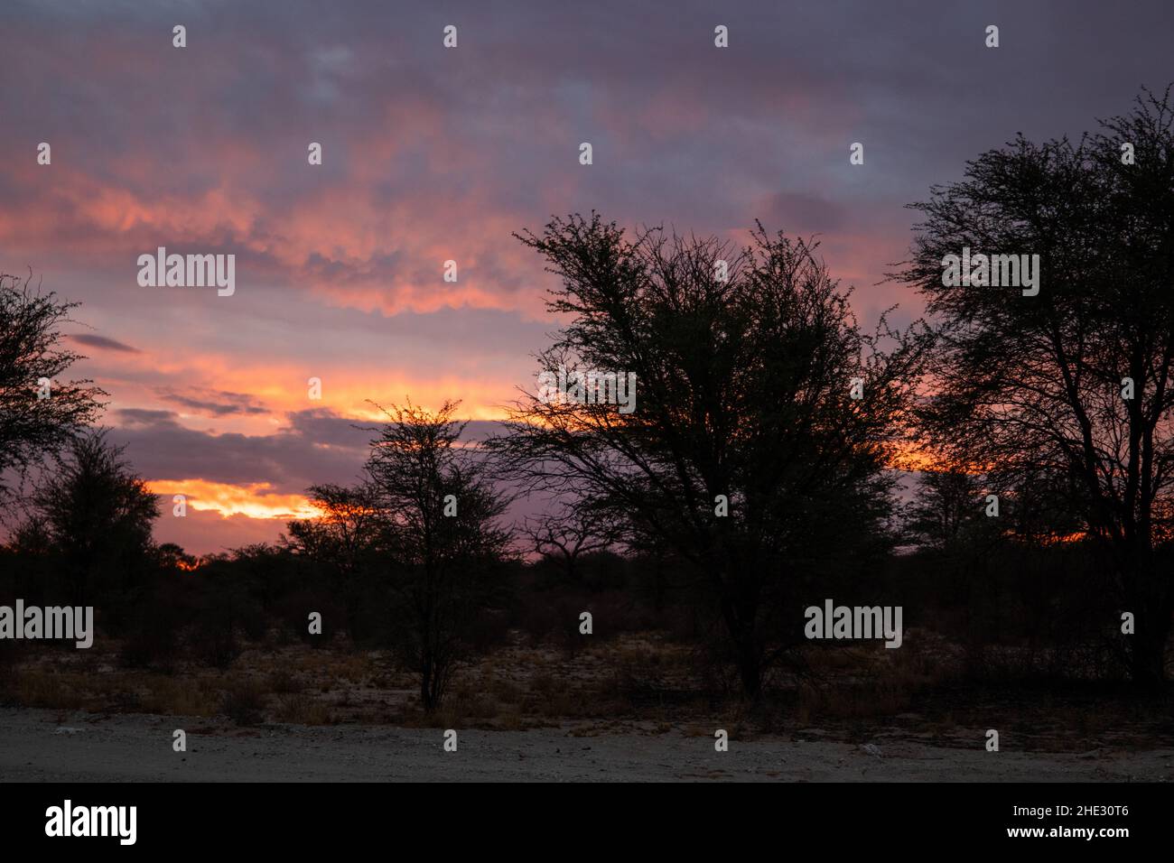 Kalahari sunset hi-res stock photography and images - Alamy