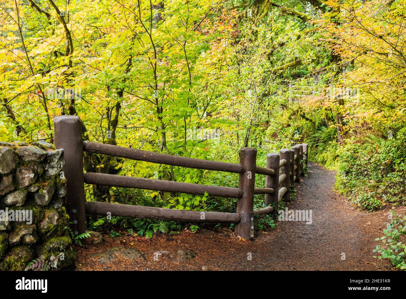 Fall colors along Trail of Ten Falls; Silver Falls State Park; Oregon ...