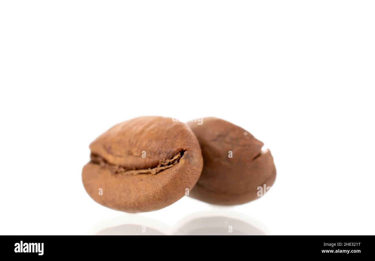 Two fragrant freshly roasted coffee beans, close-up, isolated on white ...