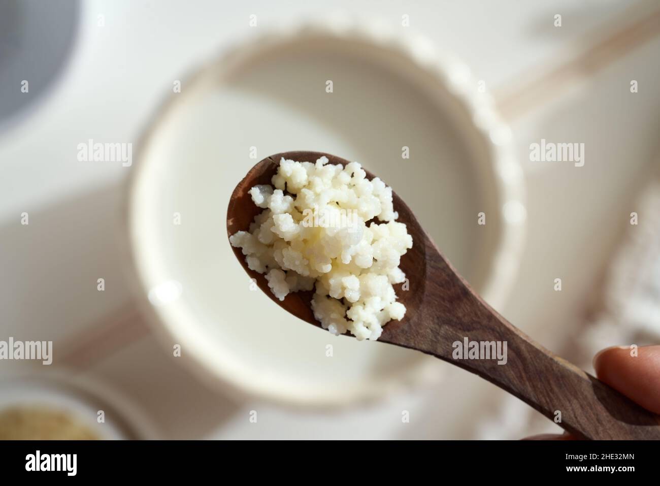 Kefir grains on a spoon above a bowl of fresh milk - preparation of a ...