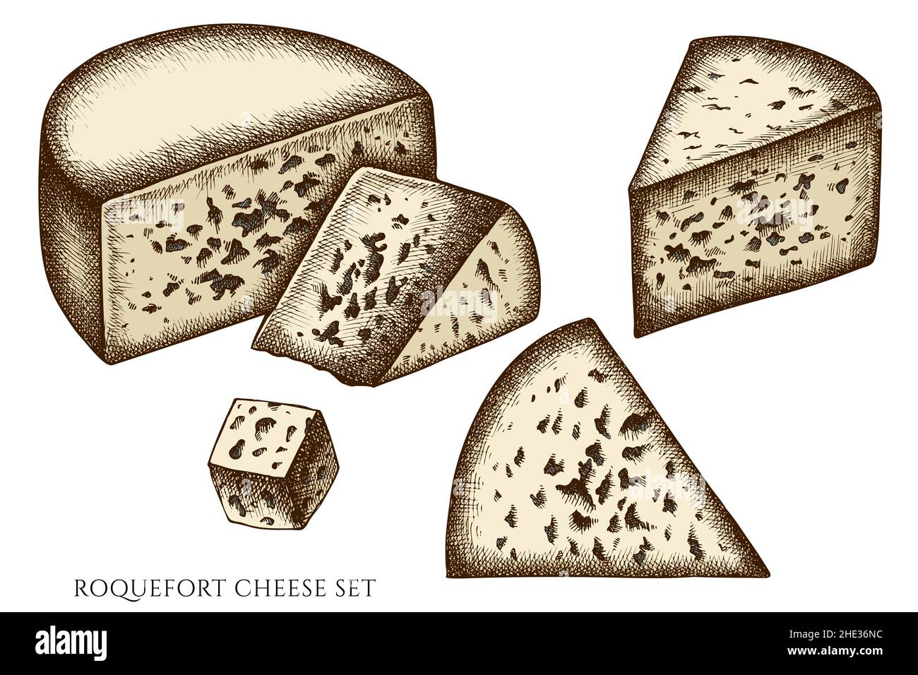 Cheese hand drawn vector illustrations collection. Colored roquefort ...