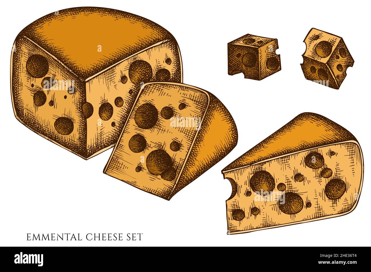 Cheese hand drawn vector illustrations collection. Colored emmental ...
