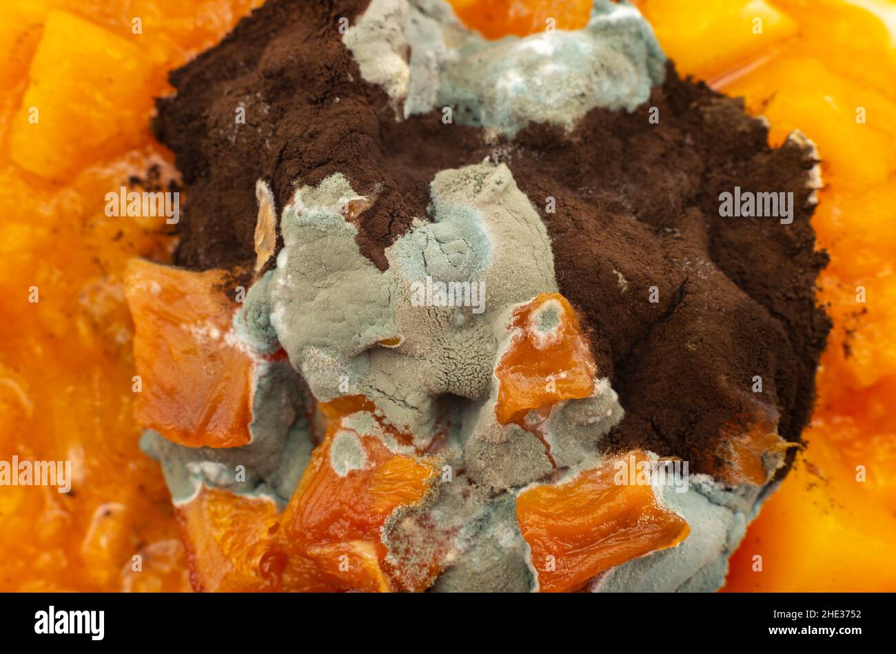 Improper Food Sanitation